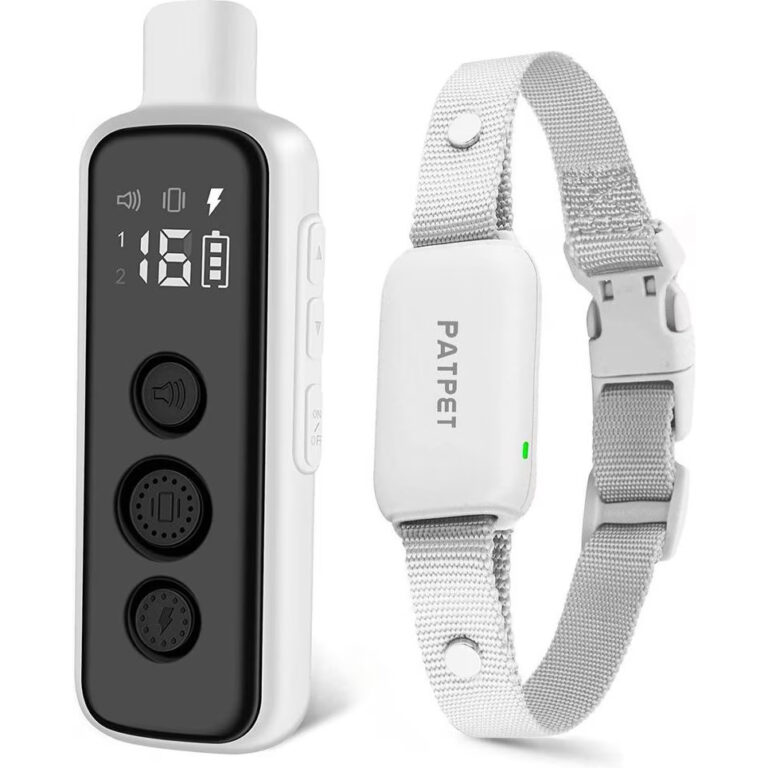 10 Best Dog Training Collars With Remotes - 2026 Reviews & Top Picks ...