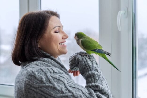 How Much Does a Quaker Parrot Cost? (2026 Price Guide) | Hepper Pet ...