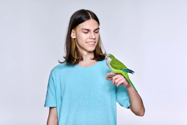 How Much Does a Quaker Parrot Cost? (2026 Price Guide) | Hepper Pet ...