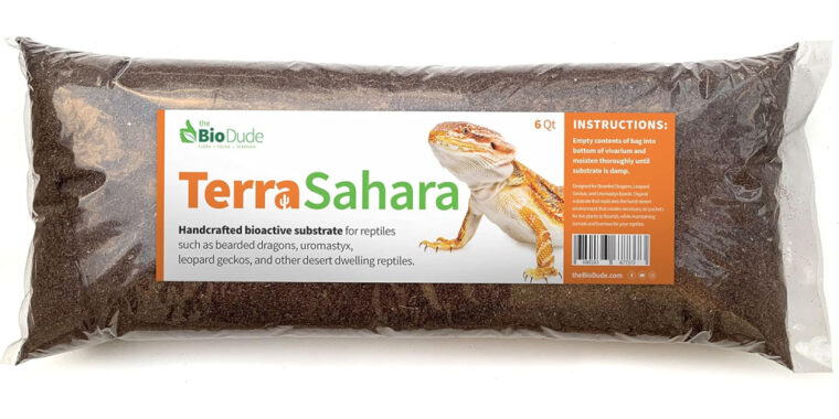 5 Best Sands for Bearded Dragons - 2026 Reviews & Top Picks | Hepper ...