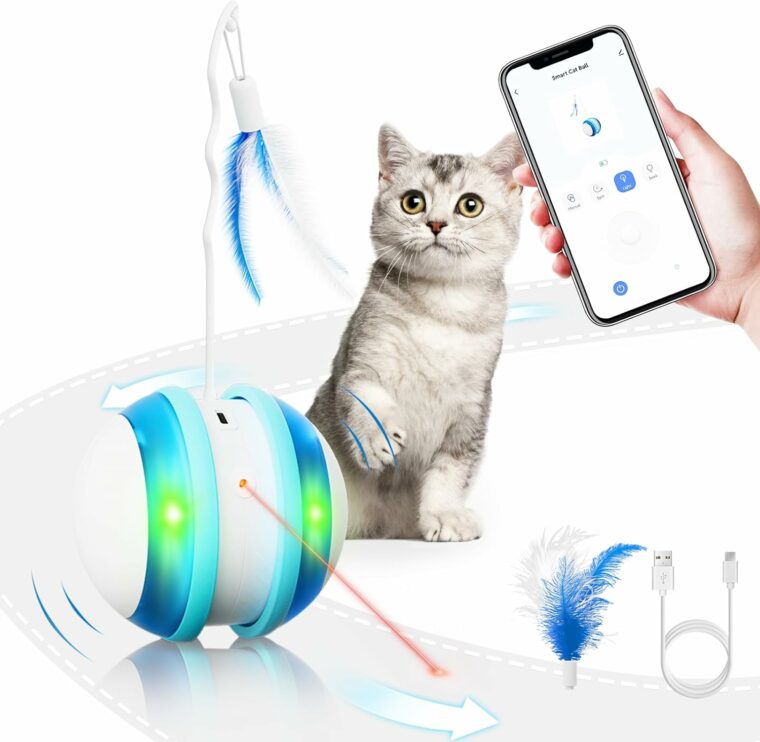 10 Best Remote Control Cat Toys - 2026 Reviews & Top Picks | Hepper Pet ...