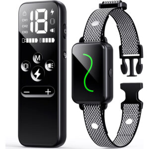 10 Best Dog Training Collars With Remotes - 2026 Reviews & Top Picks ...