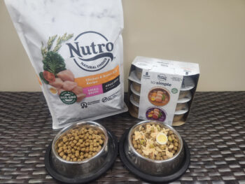 Nutro Natural Choice Dog Food Review 2026: Recalls, Pros & Cons ...