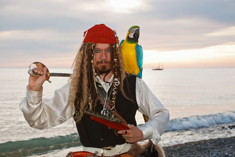 Why Do Pirates Have Parrots? Historical Facts & FAQ | Hepper Pet Resources