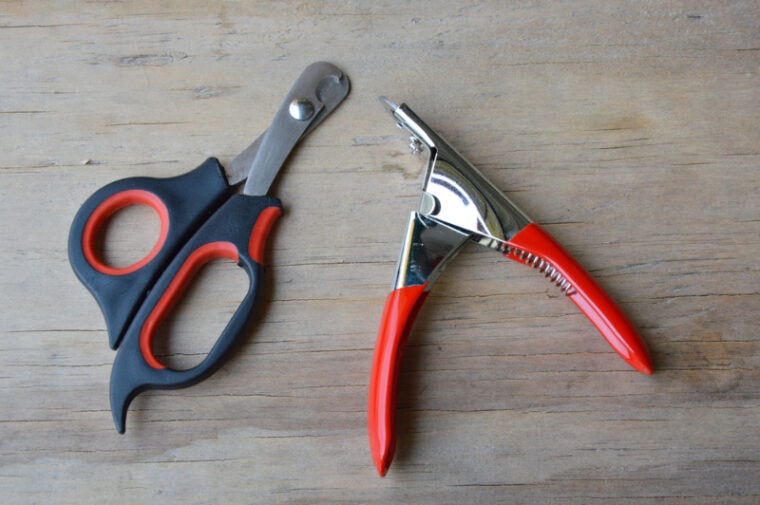 How to Use Guillotine Dog Nail Clippers: Vet-Approved Step-by-Step ...