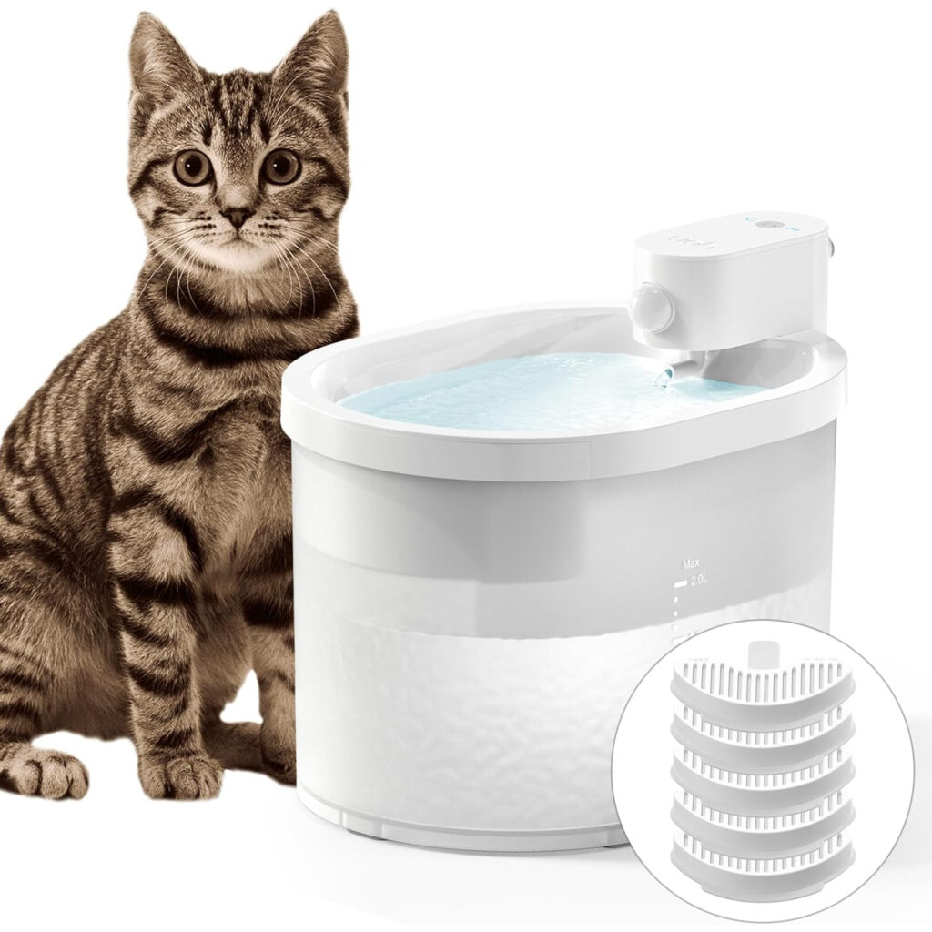 5 Best Cordless & Battery Operated Cat Water Fountains - 2026 Reviews ...