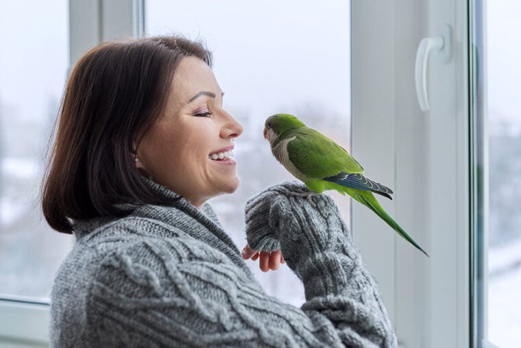 Can Parrots Understand the Human Language? Vet-Reviewed Science & Info ...