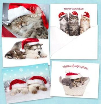 22 Cat Holiday Cards for Christmas, Valentine’s & More | Hepper Pet ...