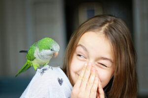 How to Train a Parakeet: 7 Tips & Tricks | Hepper Pet Resources