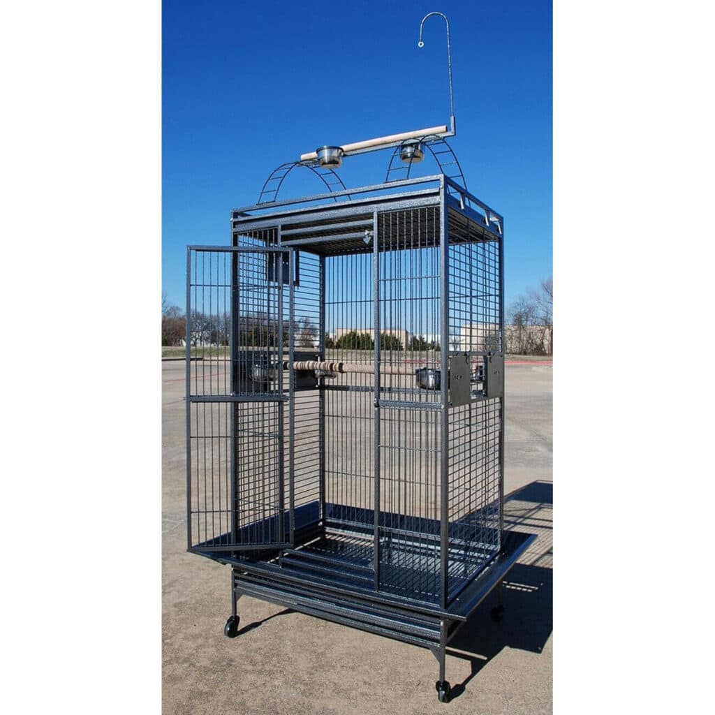 10 Best Parrot Cages – 2025 Reviews & Top Picks | Hepper Pet Resources