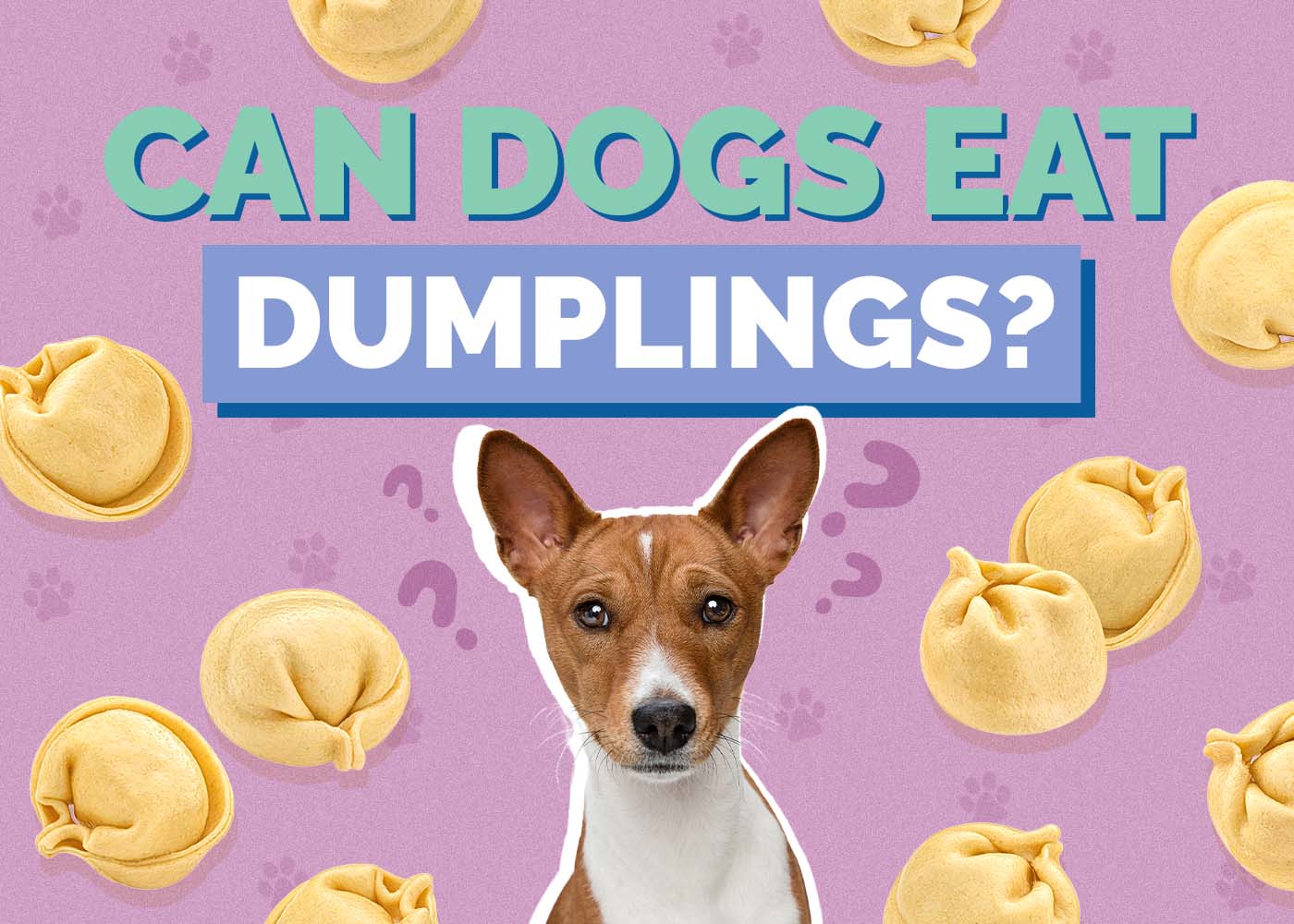 Can Dogs Eat Dumplings? Vet Reviewed Health Concerns & FAQ | Hepper Pet ...
