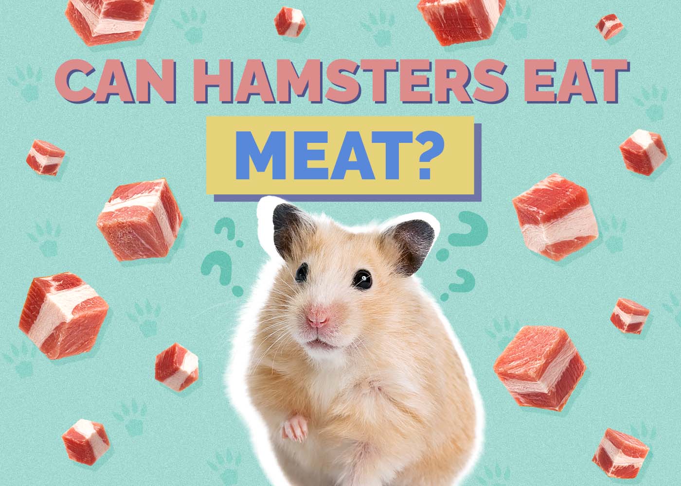 Do Hamsters Explode? Vet-Reviewed Myth vs. Truth | Hepper Pet Resources