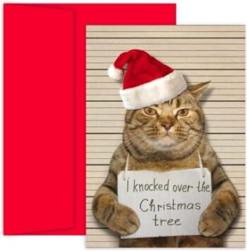 22 Cat Holiday Cards for Christmas, Valentine’s & More | Hepper Pet ...