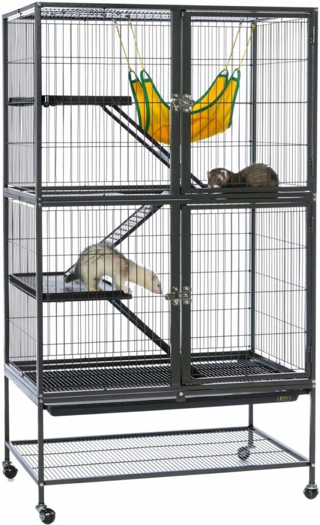 10 Best Ferret Cages - 2026 Reviews & Top Picks | Hepper Pet Resources