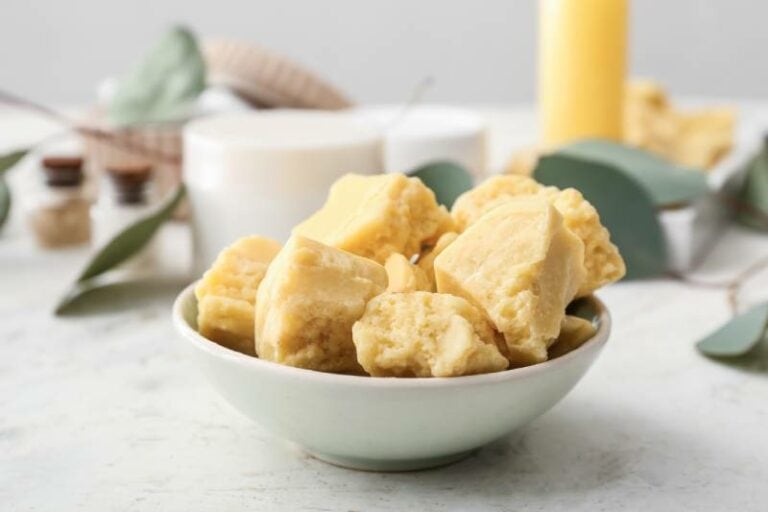 Can Dogs Eat Cocoa Butter? Vet-Approved Facts & FAQ | Hepper Pet Resources