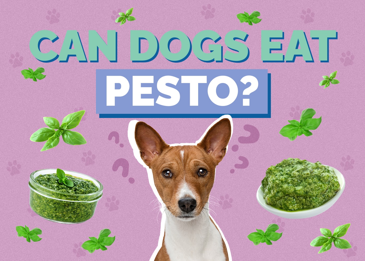 Can Dogs Eat Pesto? Vet Reviewed Facts & FAQ | Hepper Pet Resources
