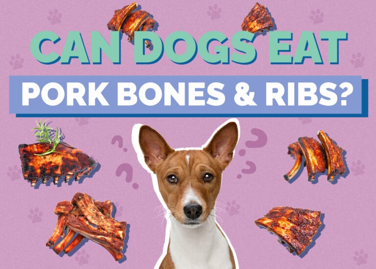 Can Dogs Eat Pork Bones & Ribs? Vet Reviewed Facts & Safety Guide ...
