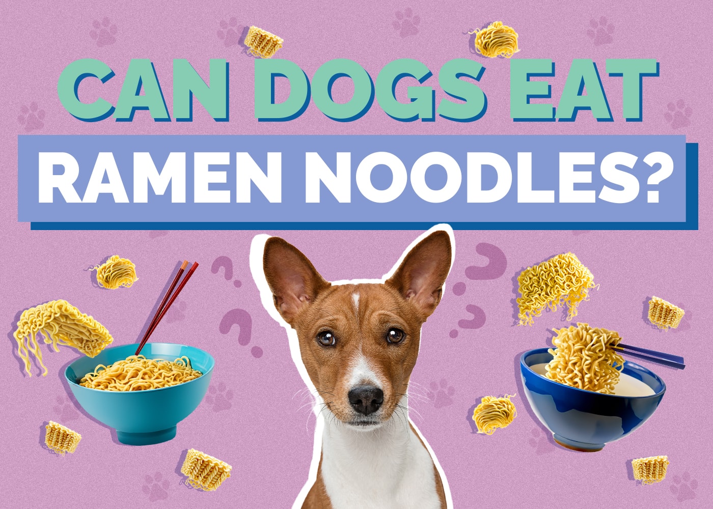 Can Dogs Eat Ramen Noodles? Vet Reviewed Facts | Hepper Pet Resources