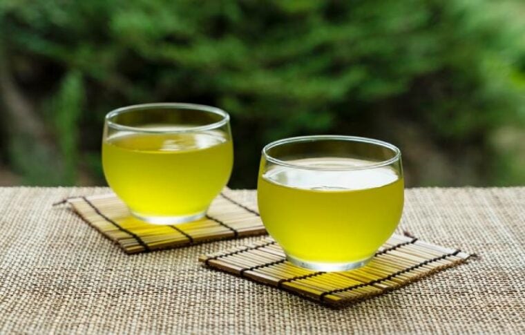 Can Dogs Drink Green Tea? Vet-Reviewed Health Concerns | Hepper Pet ...