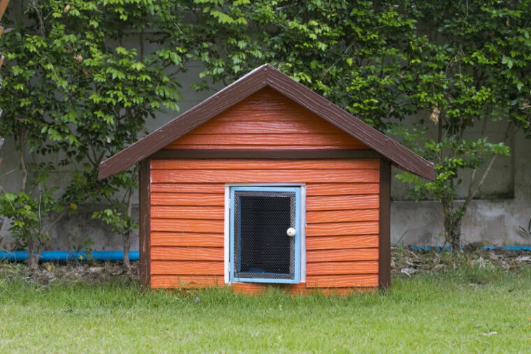 Dog House Sizing Guide: Details You Need to Know (With Infographic ...