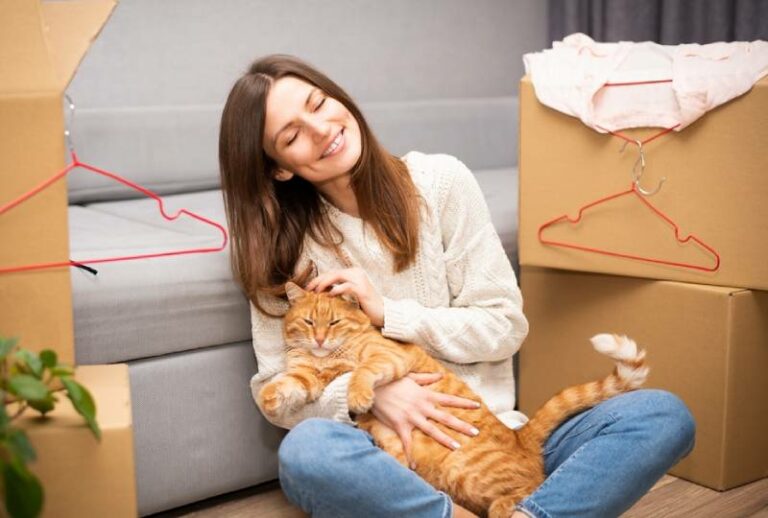 How to Make Moving Houses With a Cat Easy: 11 Vet-Approved Tips for a ...