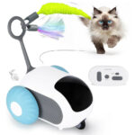 10 Best Remote Control Cat Toys - 2026 Reviews & Top Picks | Hepper Pet ...