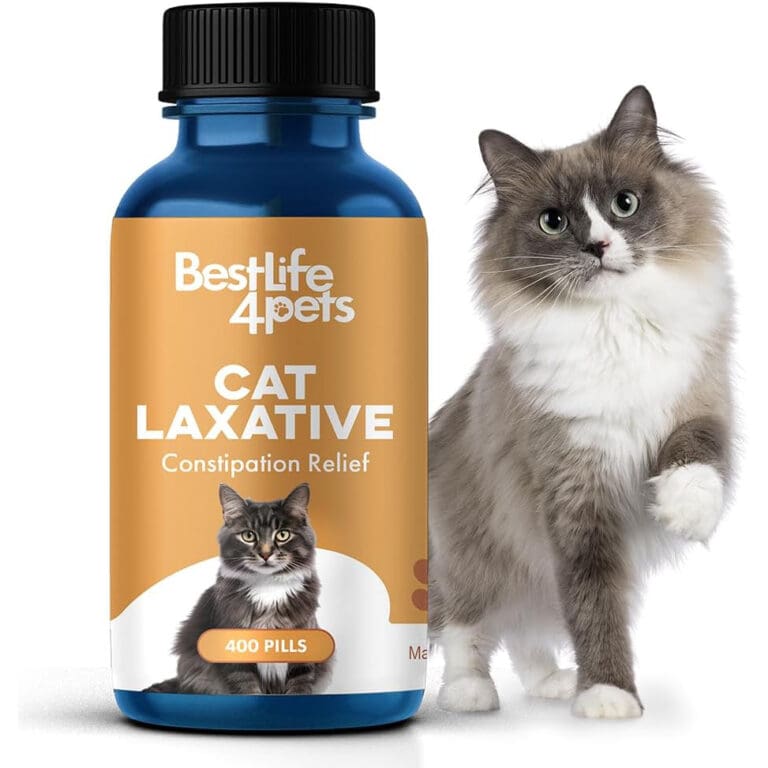 8 Best Cat Laxatives - 2025 Reviews & Top Picks | Hepper Pet Resources