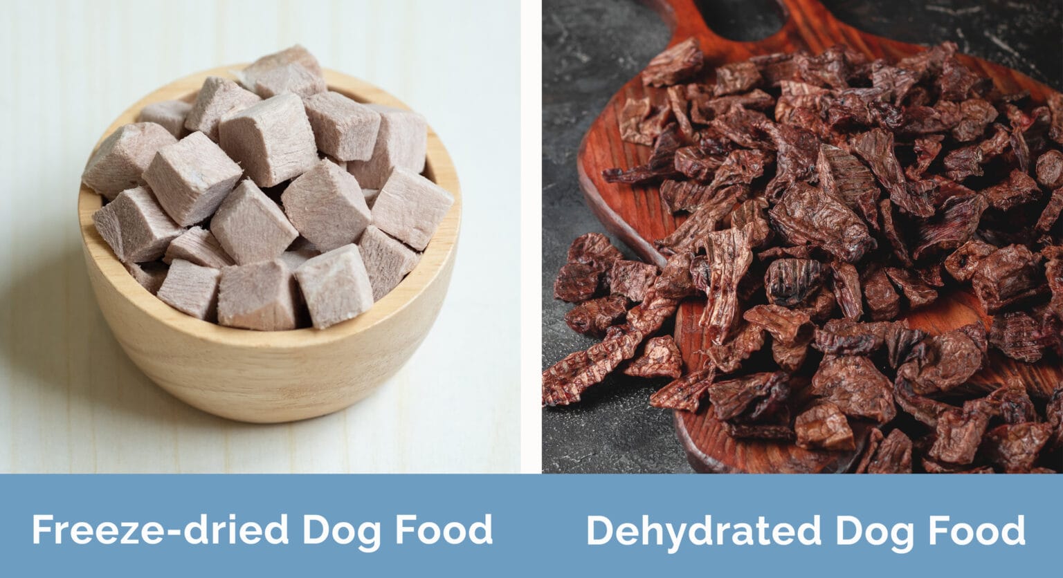 Freeze-Dried vs. Dehydrated Dog Food: Vet-Reviewed Differences, Pros ...
