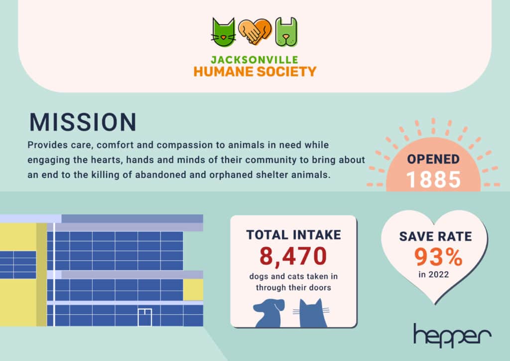 How Pet-Friendly Is Florida in 2025? Animal Shelters, Pet Welfare ...