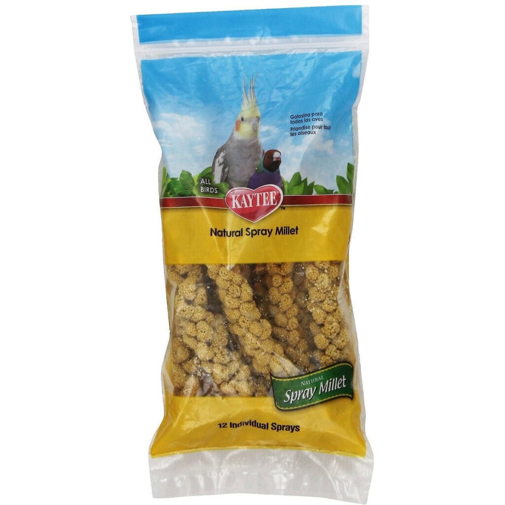 10 Best Parakeet Treats - 2026 Reviews & Top Picks | Hepper Pet Resources