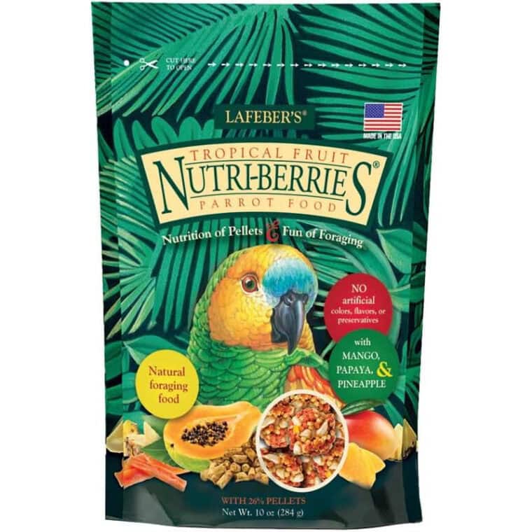 10 Best Parrot Foods – 2025 Reviews & Top Picks | Hepper Pet Resources