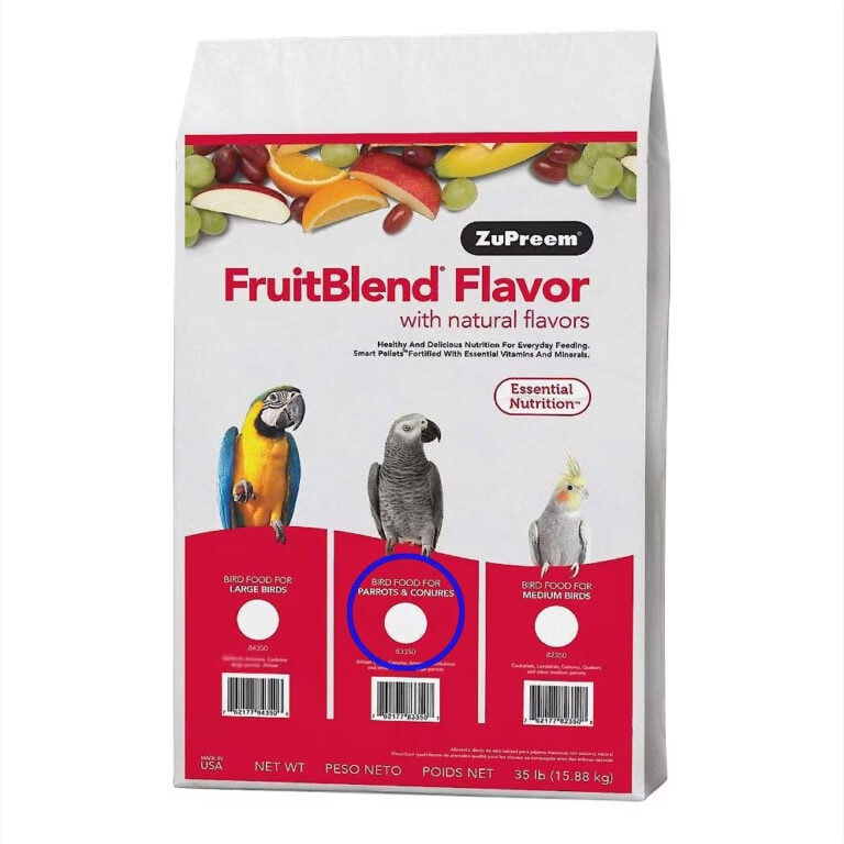 10 Best Parrot Foods – 2025 Reviews & Top Picks | Hepper Pet Resources
