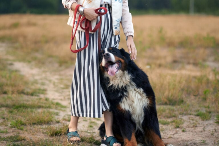 Why Does My Dog Lean on Me? 4 Common Reasons | Hepper Pet Resources