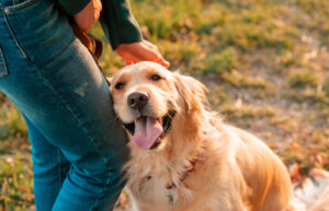 Why Does My Dog Lean on Me? 4 Common Reasons | Hepper Pet Resources