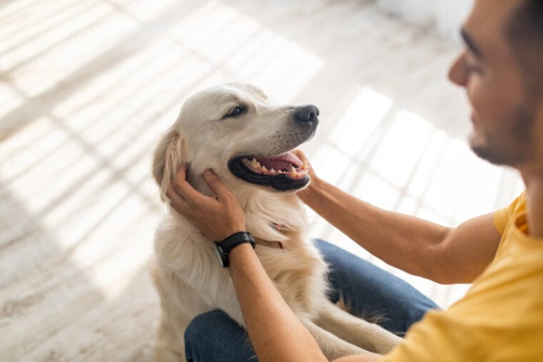 Why Do Dogs Love Humans? What the Science Says | Hepper Pet Resources
