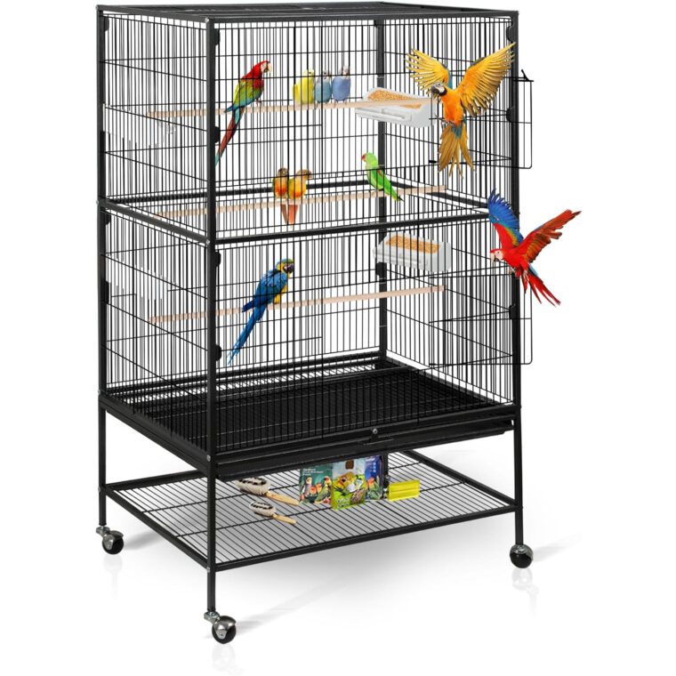 10 Best Cages for Quaker Parrots – 2026 Reviews & Top Picks | Hepper ...