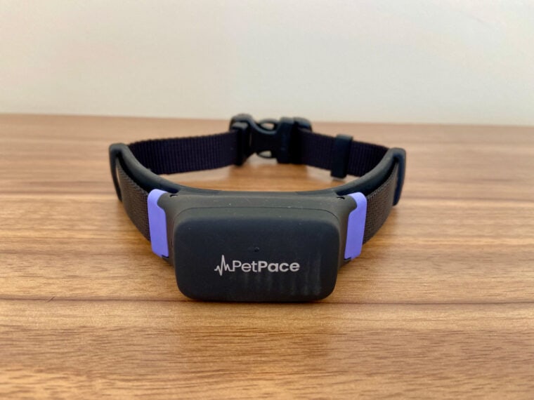 PetPace Smart Collar Review 2025: Our Expert’s Opinion | Hepper Pet ...
