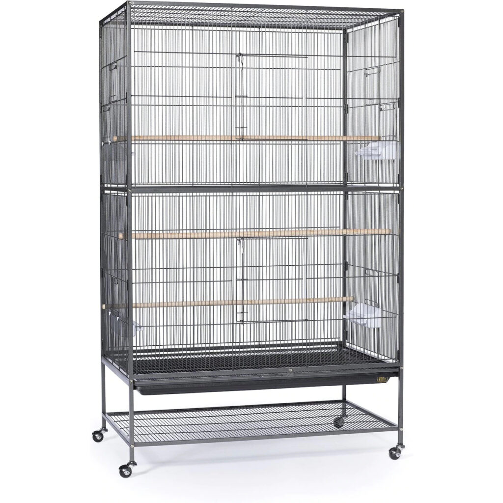 10 Best Cages for Quaker Parrots – 2026 Reviews & Top Picks | Hepper ...