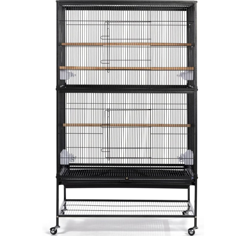 9 Best Cages for Quaker Parrots – 2026 Reviews & Top Picks | Hepper Pet ...