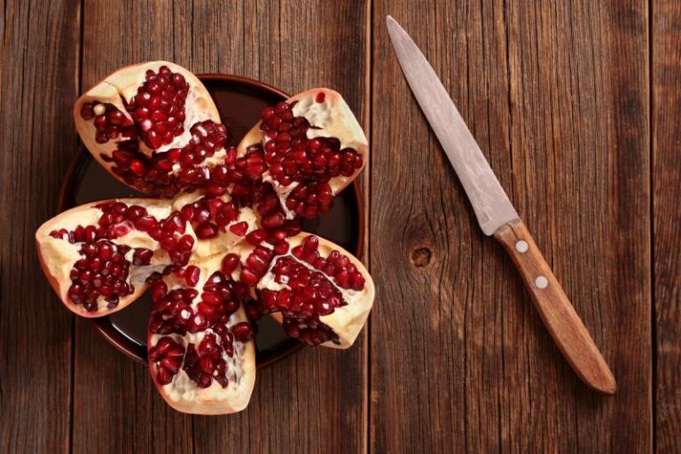 Can Parrots Eat Pomegranate? Vet-Approved Feeding Facts | Hepper Pet ...