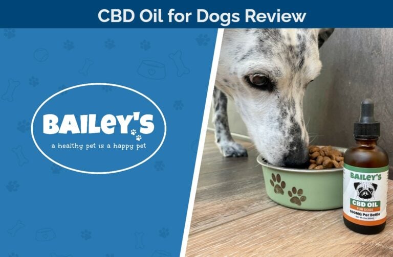 Bailey’s CBD Oil for Dogs Review: Our Expert’s Opinion | Hepper Pet ...