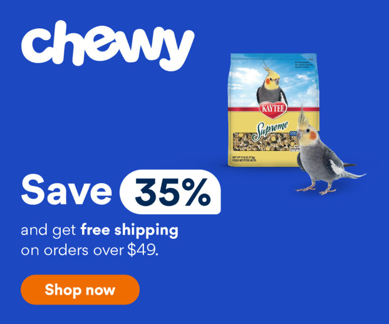 Grey Cockatiel: Facts, Origin & History (With Pictures) | Hepper Pet ...