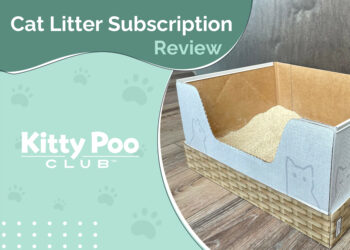 Kitty Poo Club Subscription Review 2025: An Expert's Guide | Hepper Pet ...