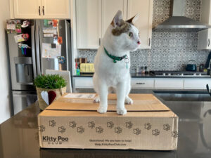 Kitty Poo Club Subscription Review 2025: An Expert's Guide | Hepper Pet ...