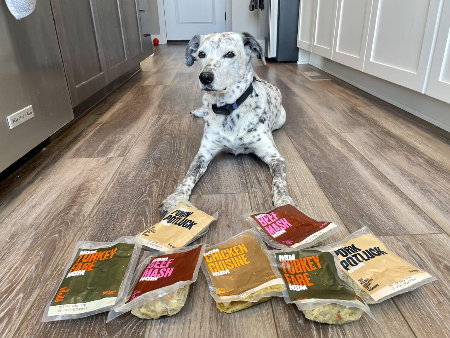 8 Best Fresh Dog Food Delivery Services in 2026 - Reviews & Top Picks ...