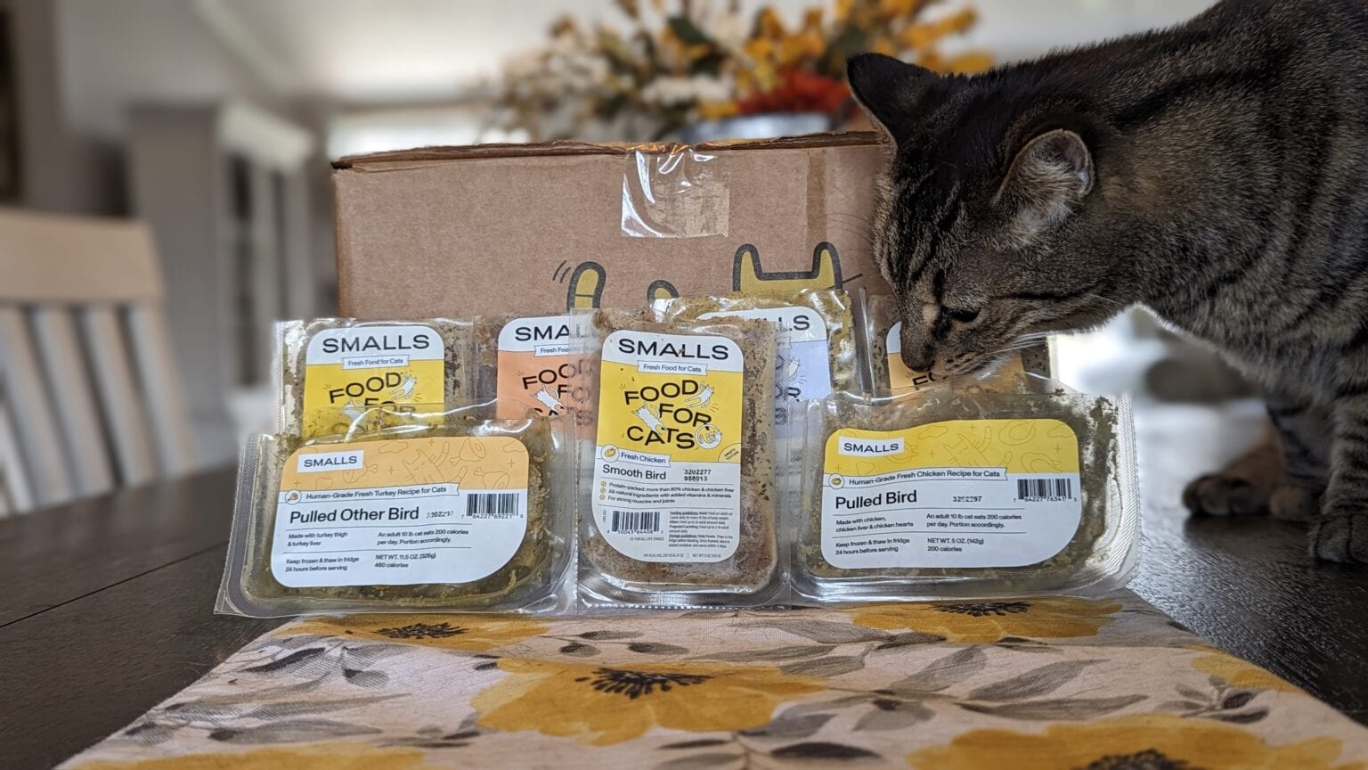 Smalls Cat Food Review 2026: Vet-Approved Pros, Cons, & Verdict ...