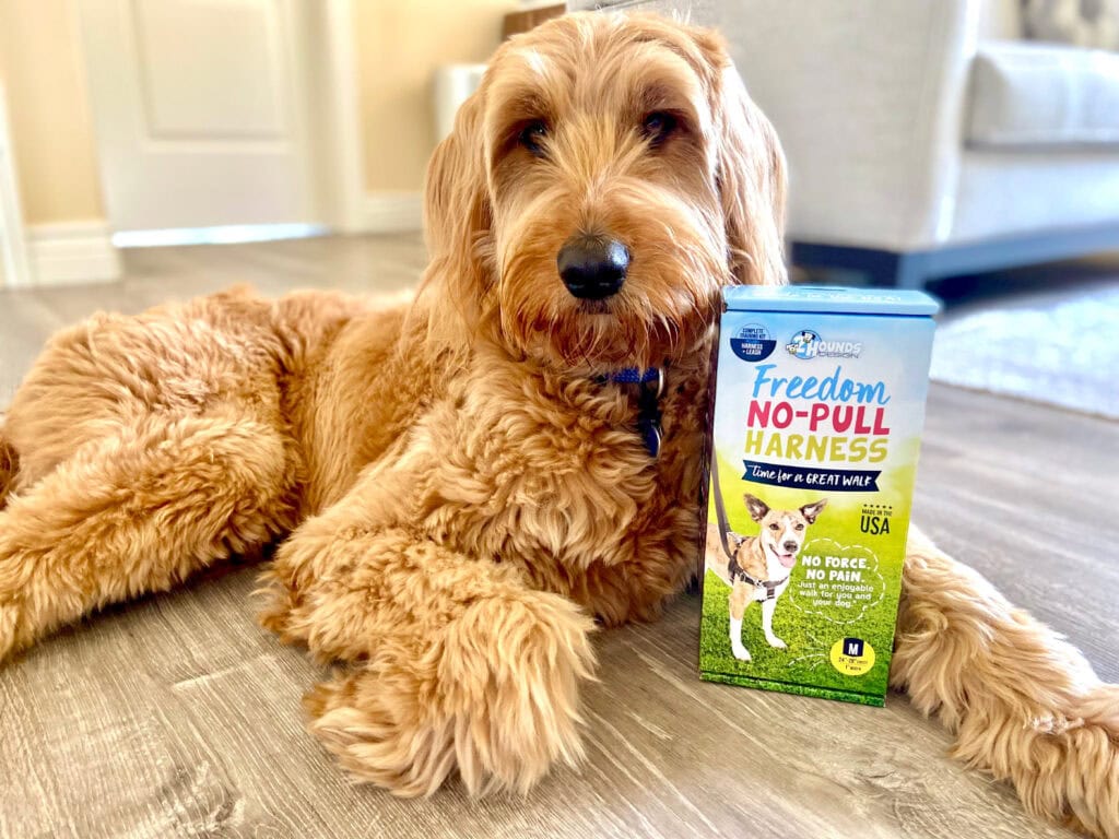 2 Hounds Design Freedom Dog Harness & Training Leash Review 2025: An ...