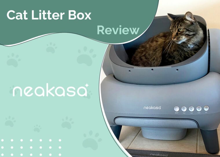 Neakasa M1 Litter Box Review 2026: An Expert’s Guide | Hepper Pet Resources