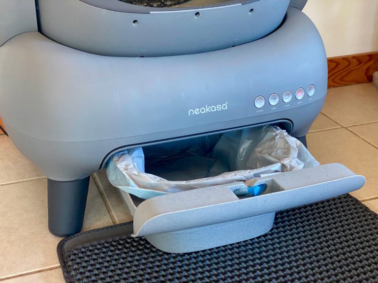 Neakasa M1 Litter Box Review 2026: An Expert’s Guide | Hepper Pet Resources