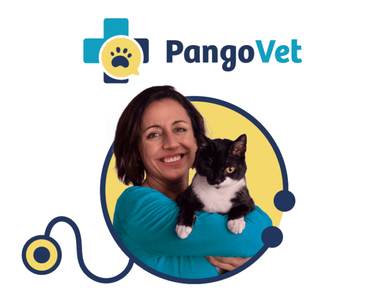 Cat Spraying vs. Peeing: Main Vet-Reviewed Differences | Hepper Pet ...